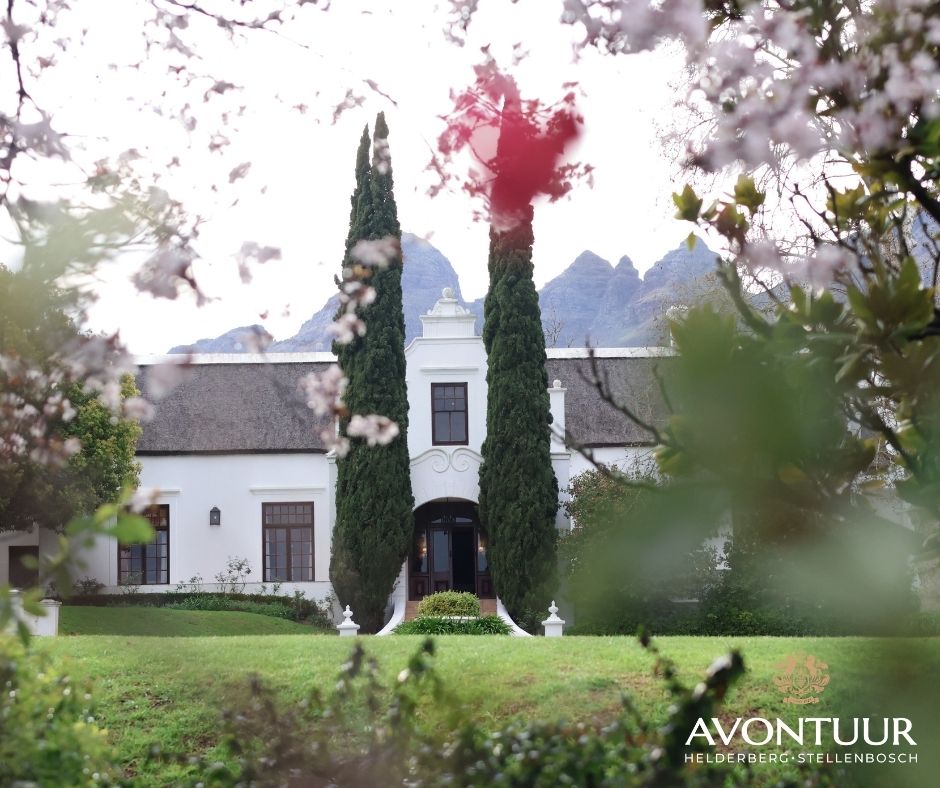 Avontuur Estate Restaurant Menu, Prices & 4.5★ Reviews | Western Cape