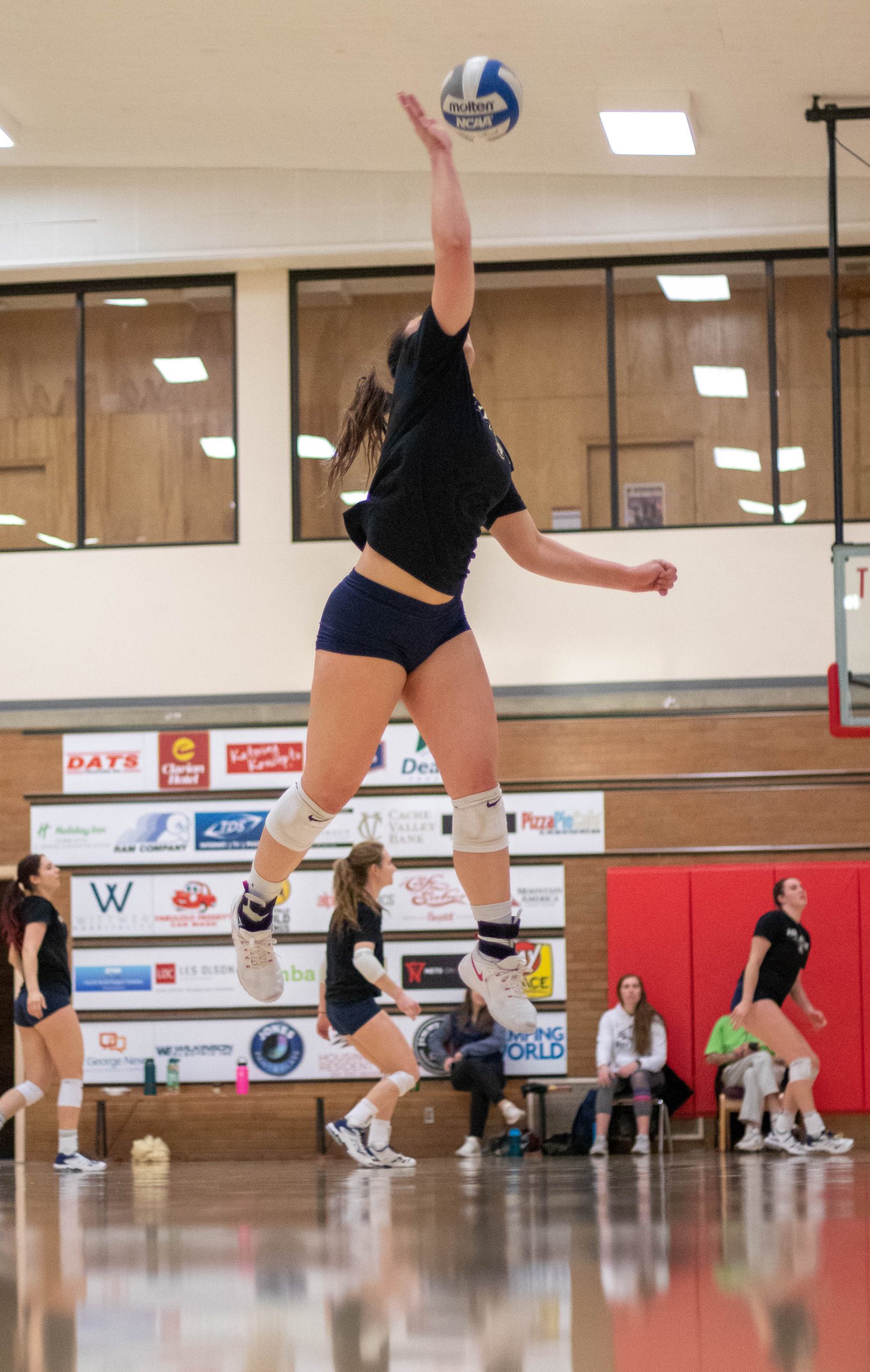 Whittnee Nihipali: new addition to DSU volleyball – Sun News Daily