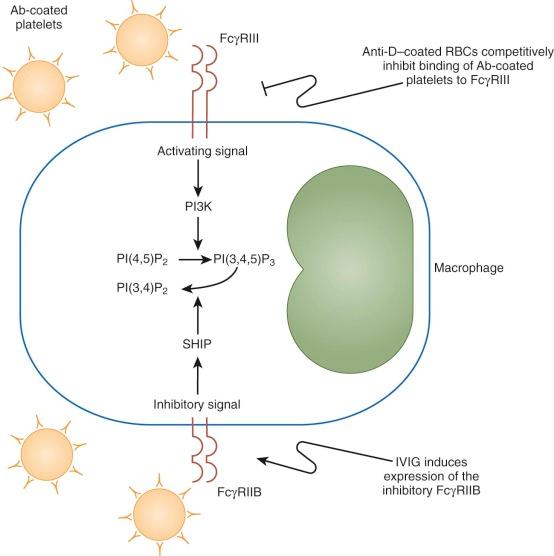 Acquired Platelet Defects - Clinical Tree
