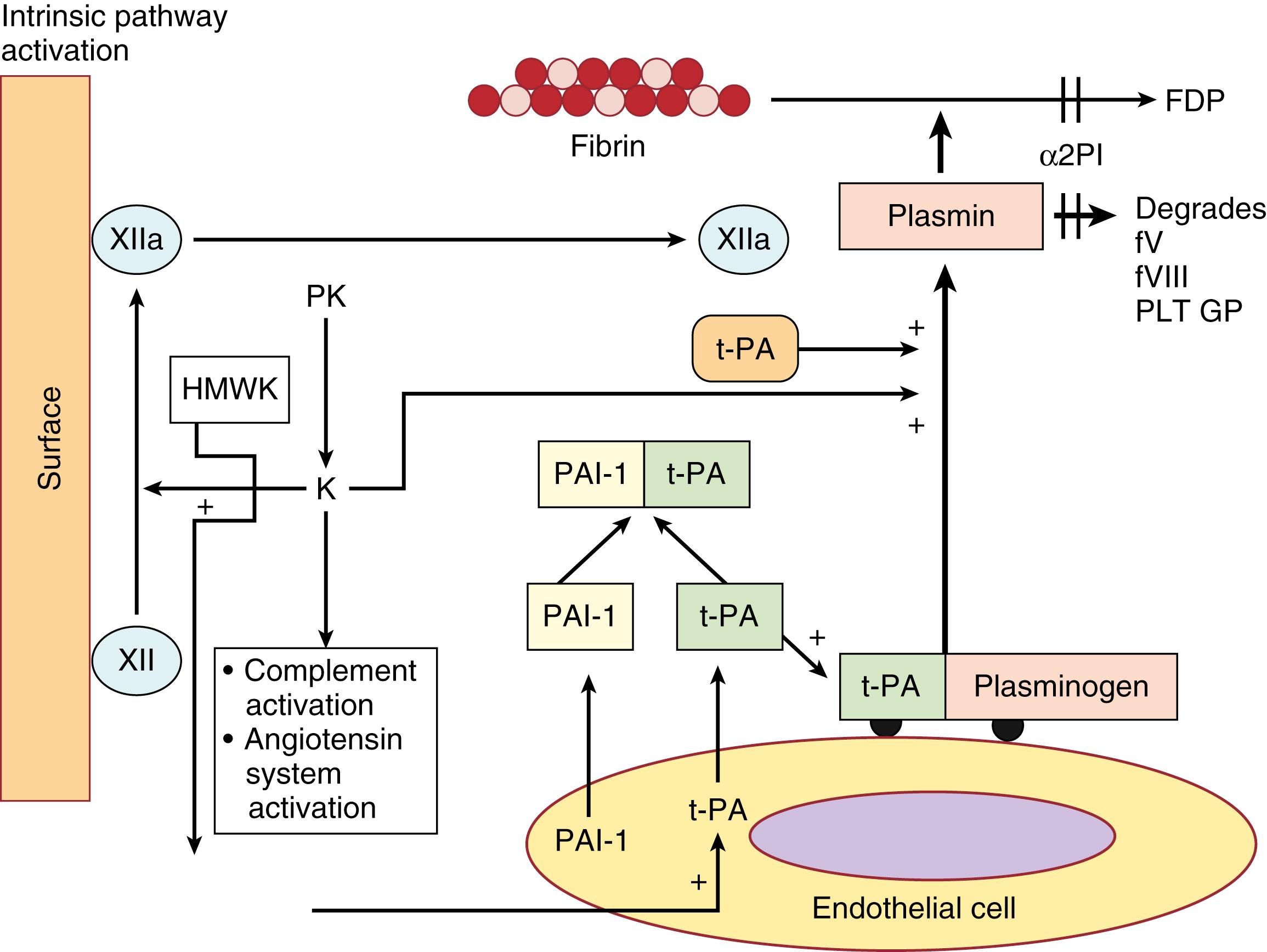Anesthesia for Cardiac Surgical Procedures - Clinical Tree
