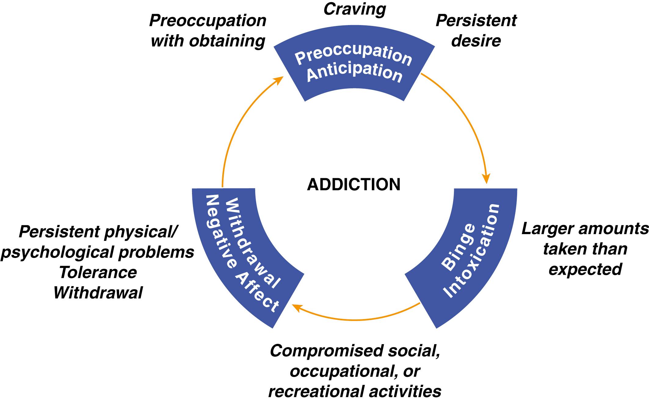 Animal Models of Substance Use Disorders: Motivational Perspective ...