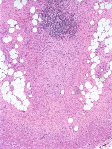 Appendix - Clinical Tree