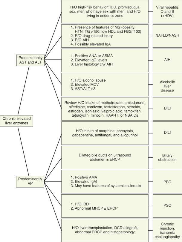 Approach to Jaundice and Abnormal Liver Function Test Results ...