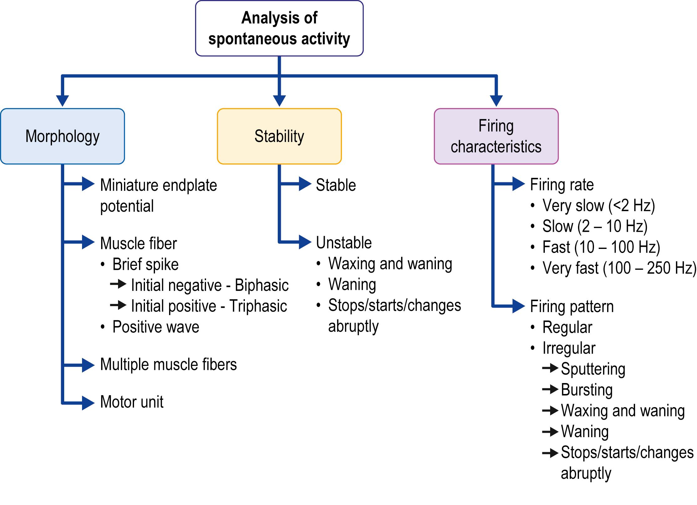 Basic Electromyography: Analysis of Spontaneous Activity - Clinical Tree