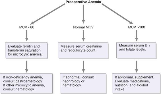 Blood Management - Clinical Tree