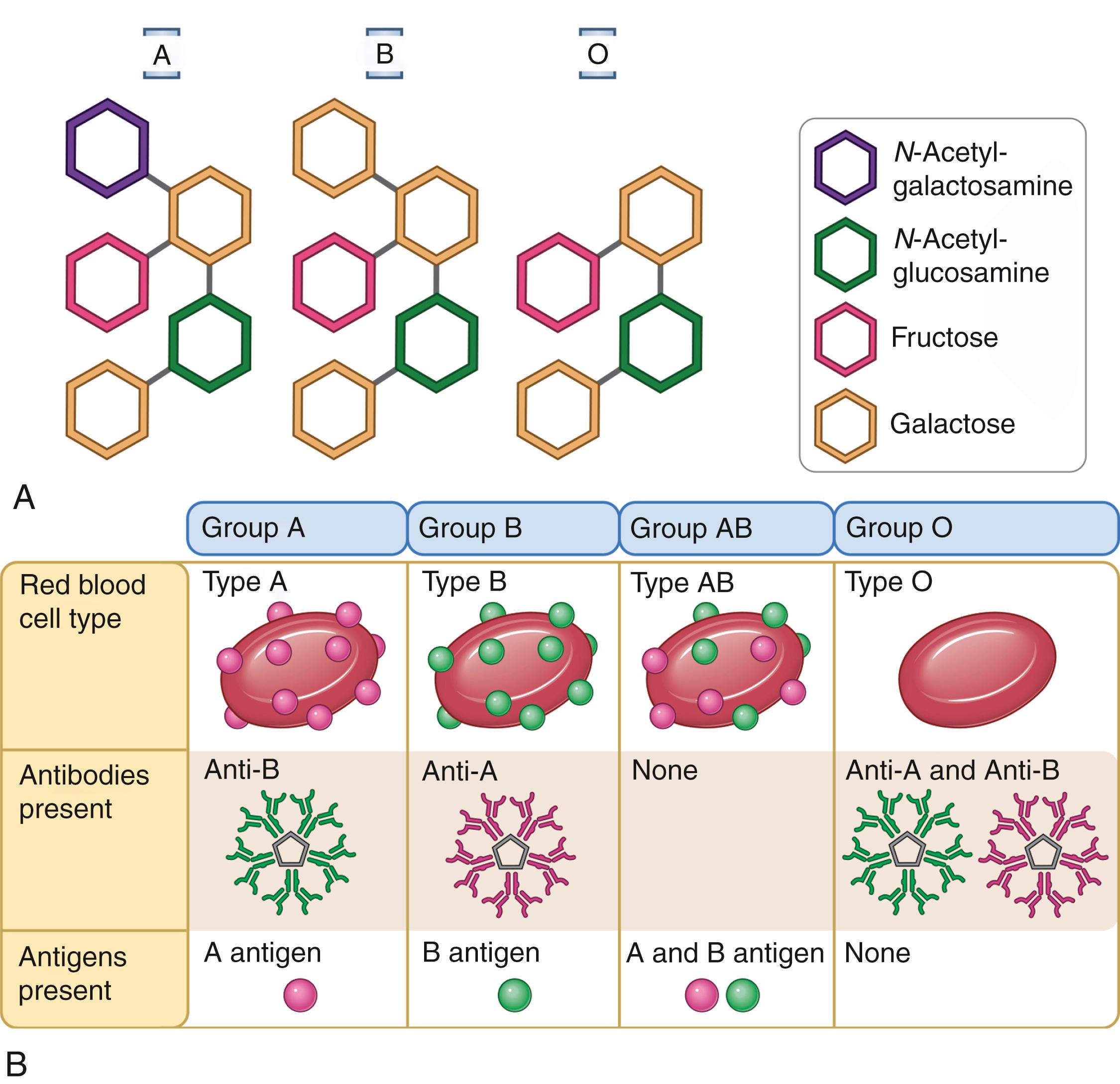 Blood and Blood Components - Clinical Tree