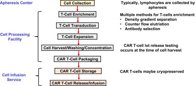 CAR T-Cell: Cell Processing Laboratory Considerations - Clinical Tree