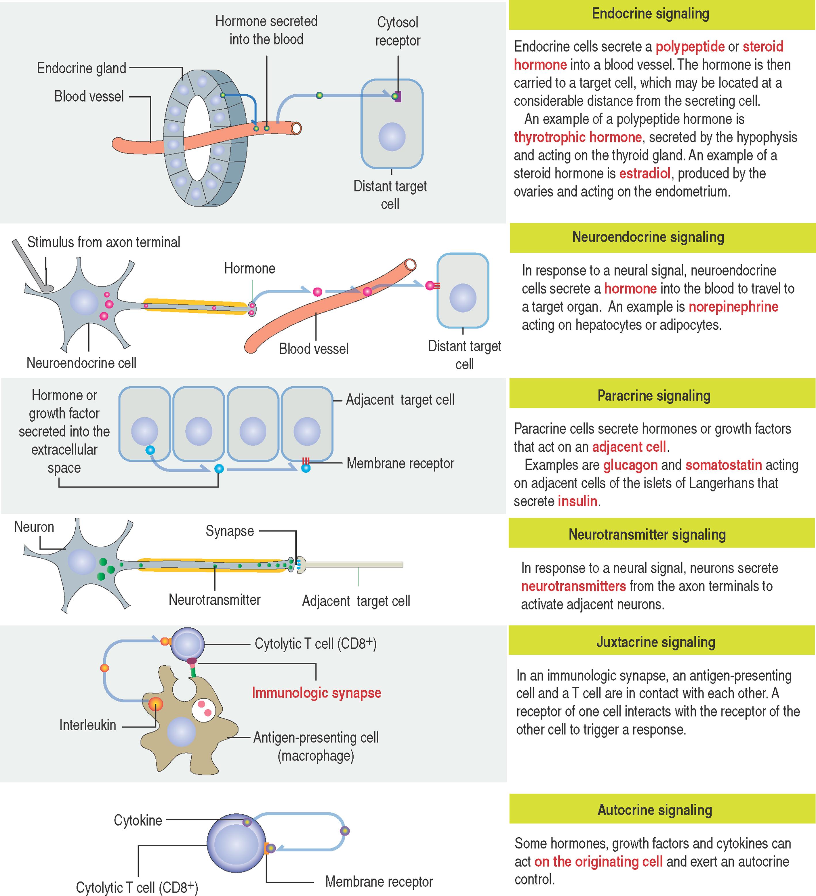 CELL SIGNALING | CELL BIOLOGY | PATHOLOGY - Clinical Tree