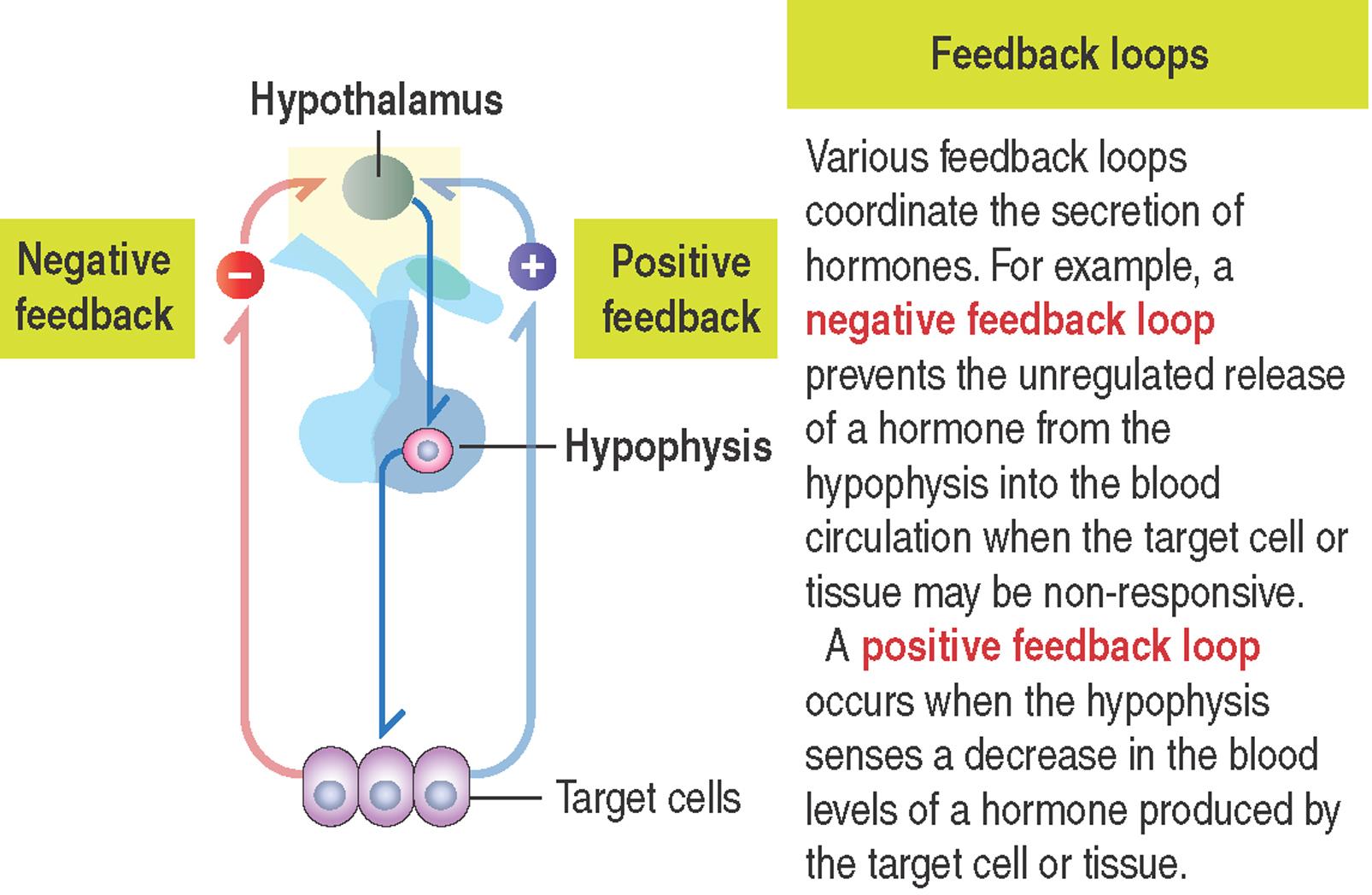 CELL SIGNALING | CELL BIOLOGY | PATHOLOGY - Clinical Tree