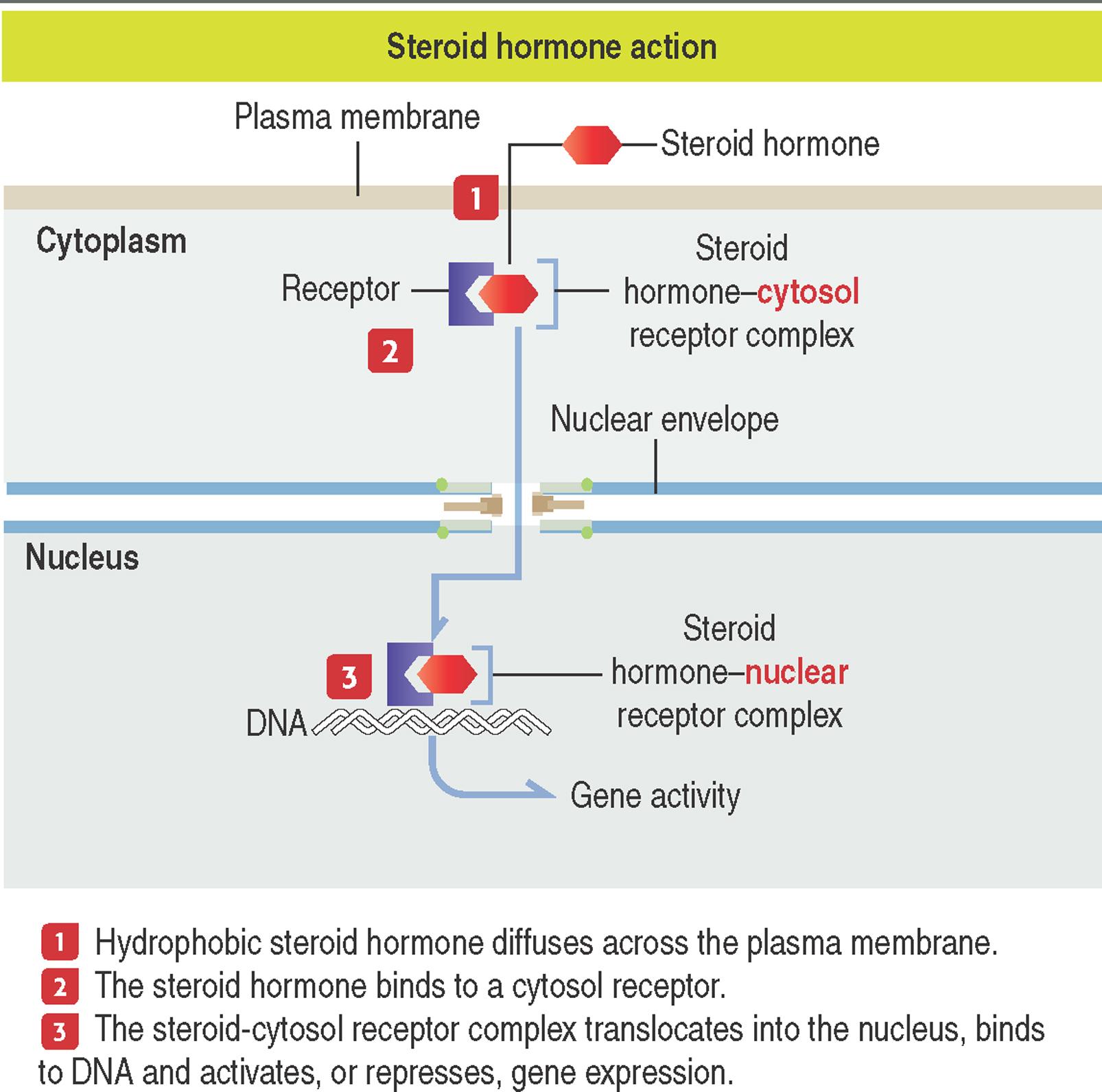 CELL SIGNALING | CELL BIOLOGY | PATHOLOGY - Clinical Tree