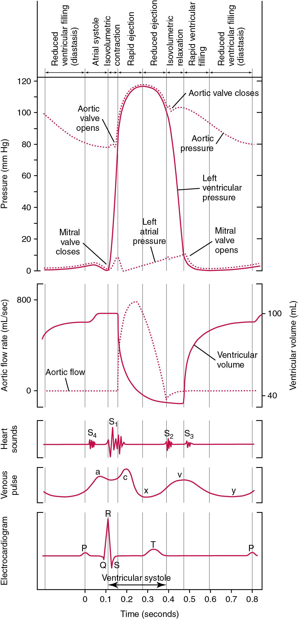 Cardiac function - Clinical Tree