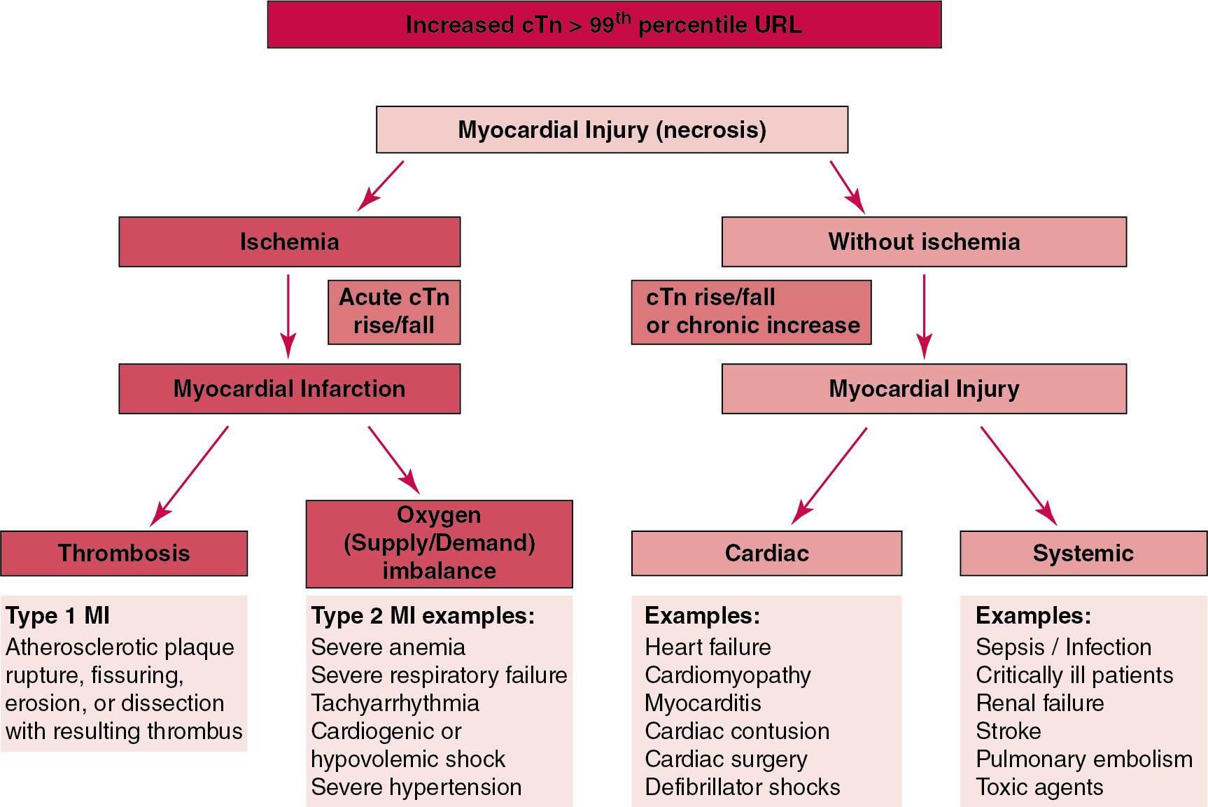 Cardiac function - Clinical Tree