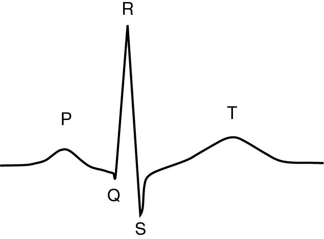 Cardiac function - Clinical Tree