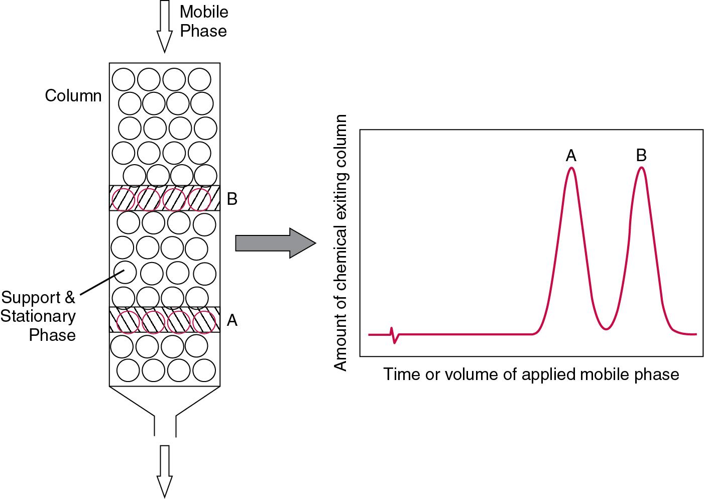 Chromatography - Clinical Tree