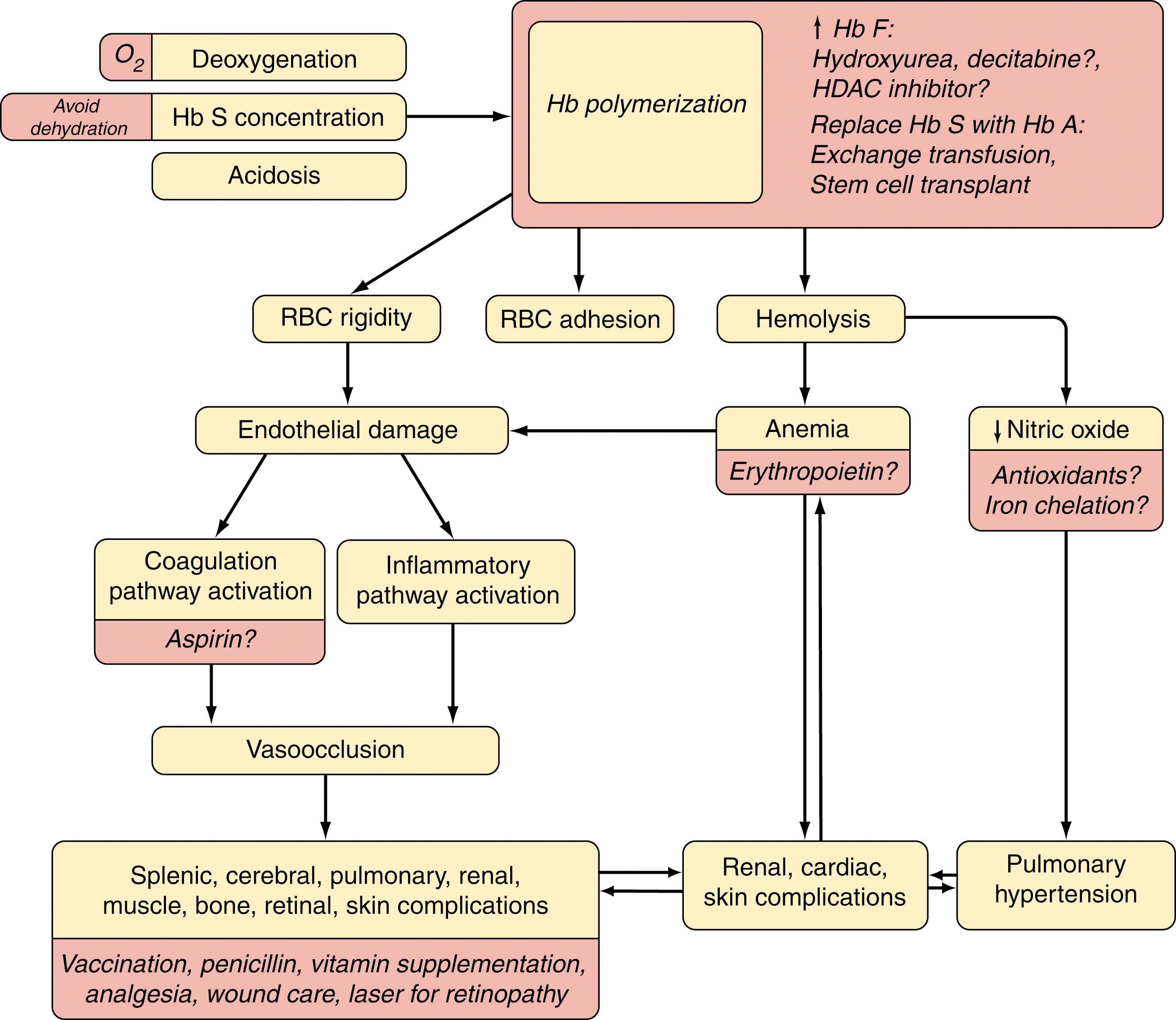 Clinical Aspects of Sickle Cell Disease - Clinical Tree