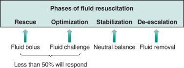 Components of Fluid Balance and Monitoring - Clinical Tree