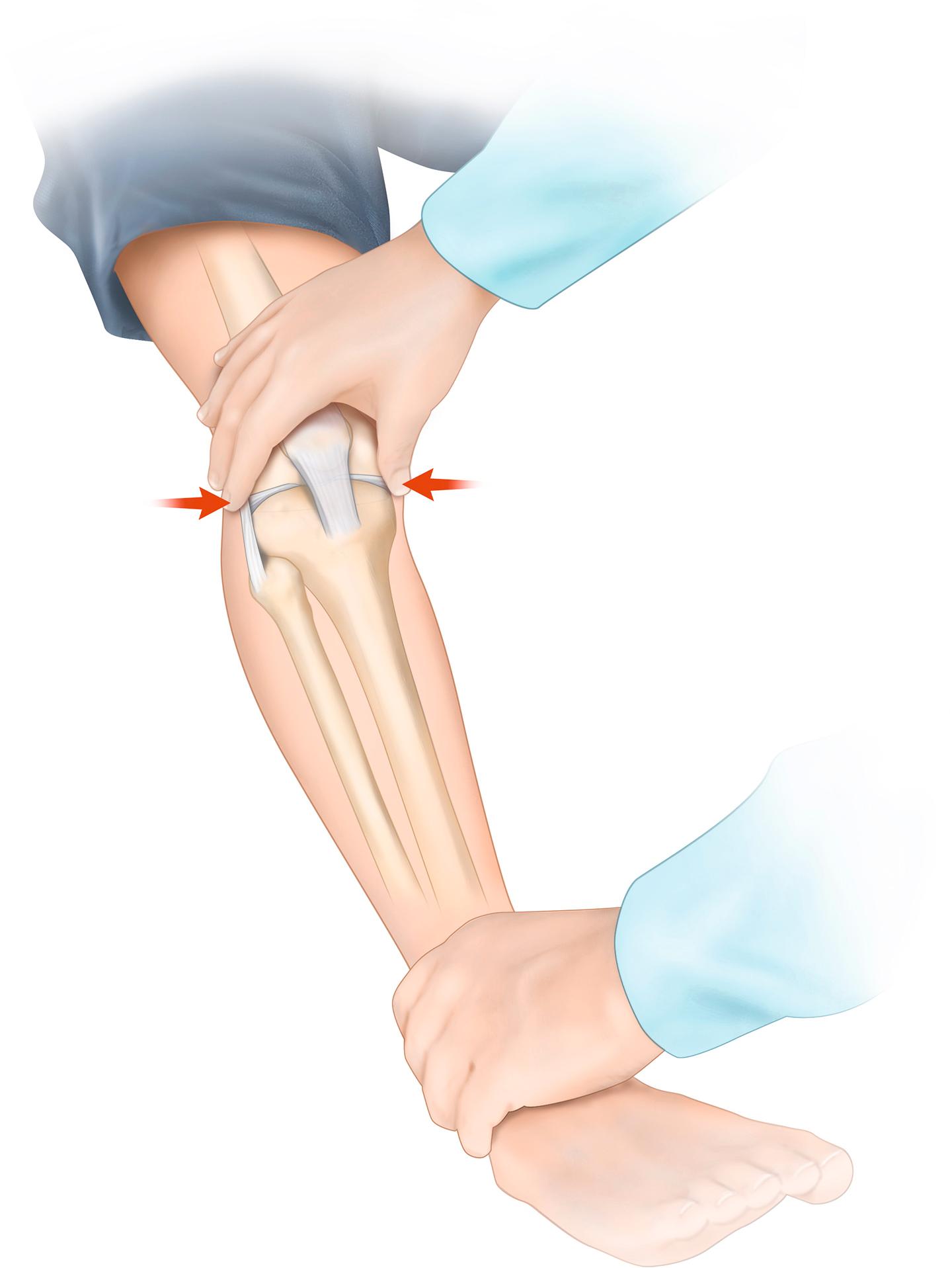 Comprehensive Clinical Examination - Clinical Tree