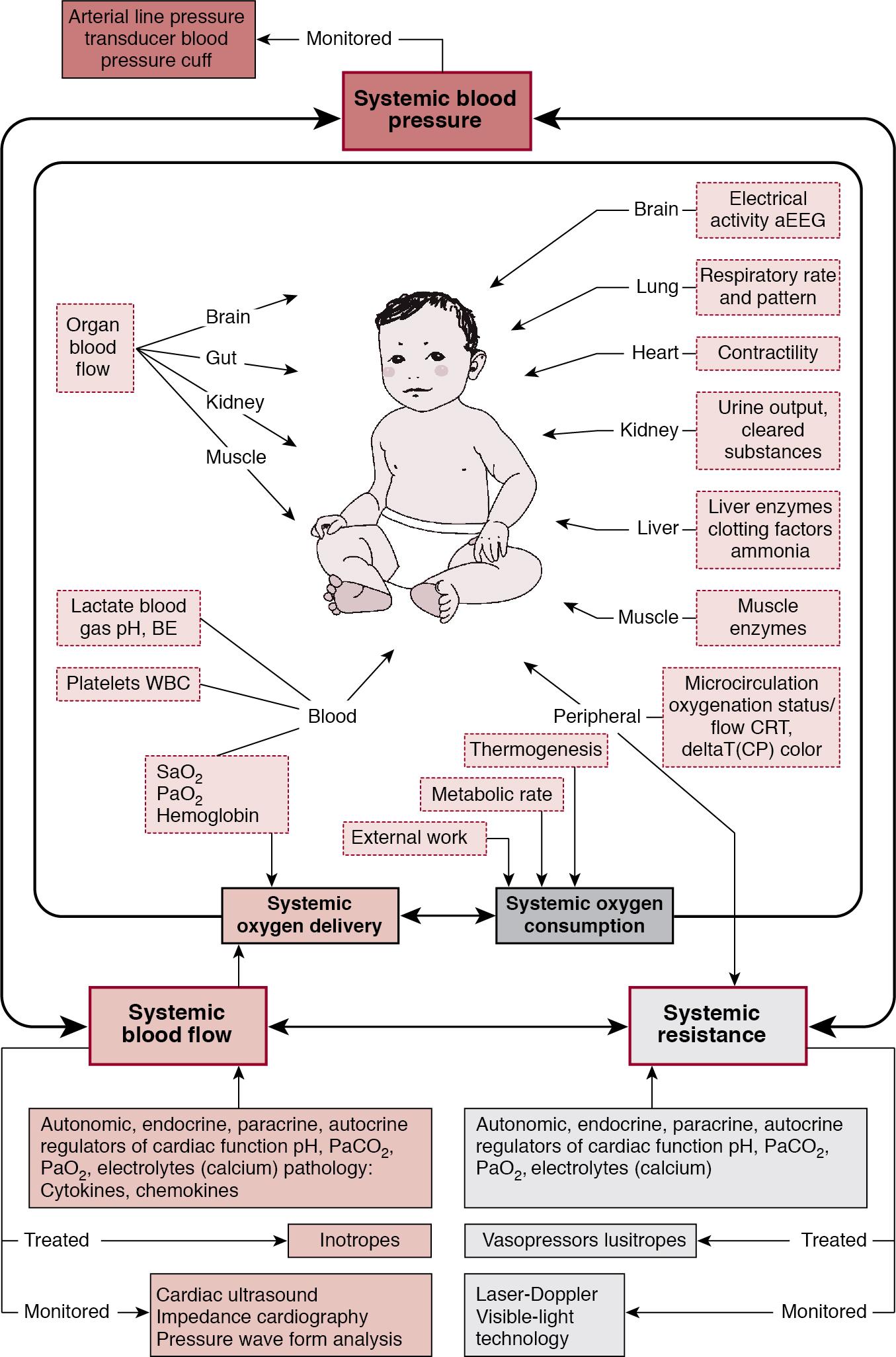 Comprehensive, real-time hemodynamic monitoring and data acquisition ...