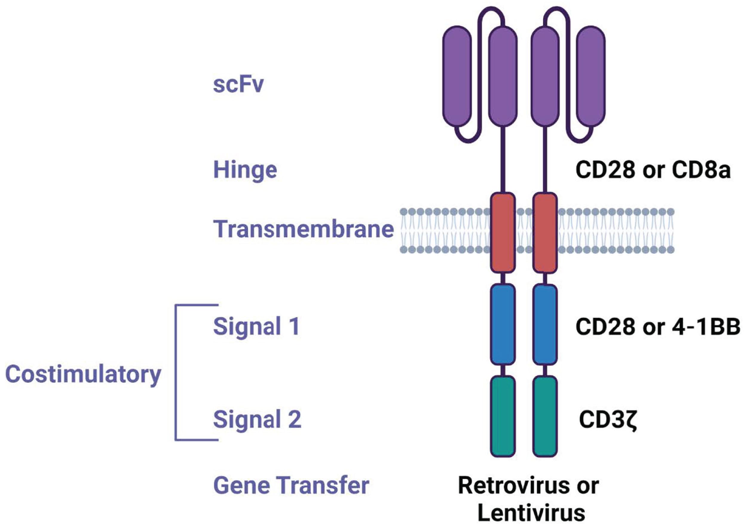 Cytokine Release Syndrome Following CD19 Directed Chimeric Antigen ... Cytokine Release Syndrome Following CD19 Directed Chimeric Antigen ...
