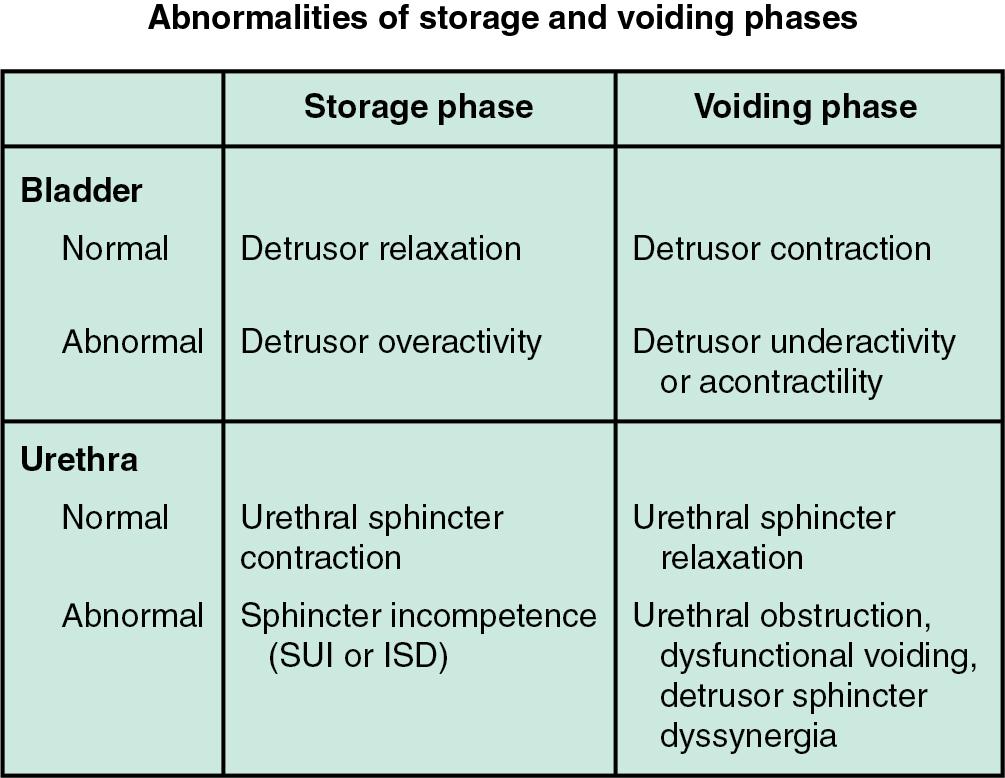 Description and classification of lower urinary tract dysfunction and ...