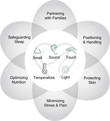 Developmental Care—Understanding and Applying the Science - Clinical Tree