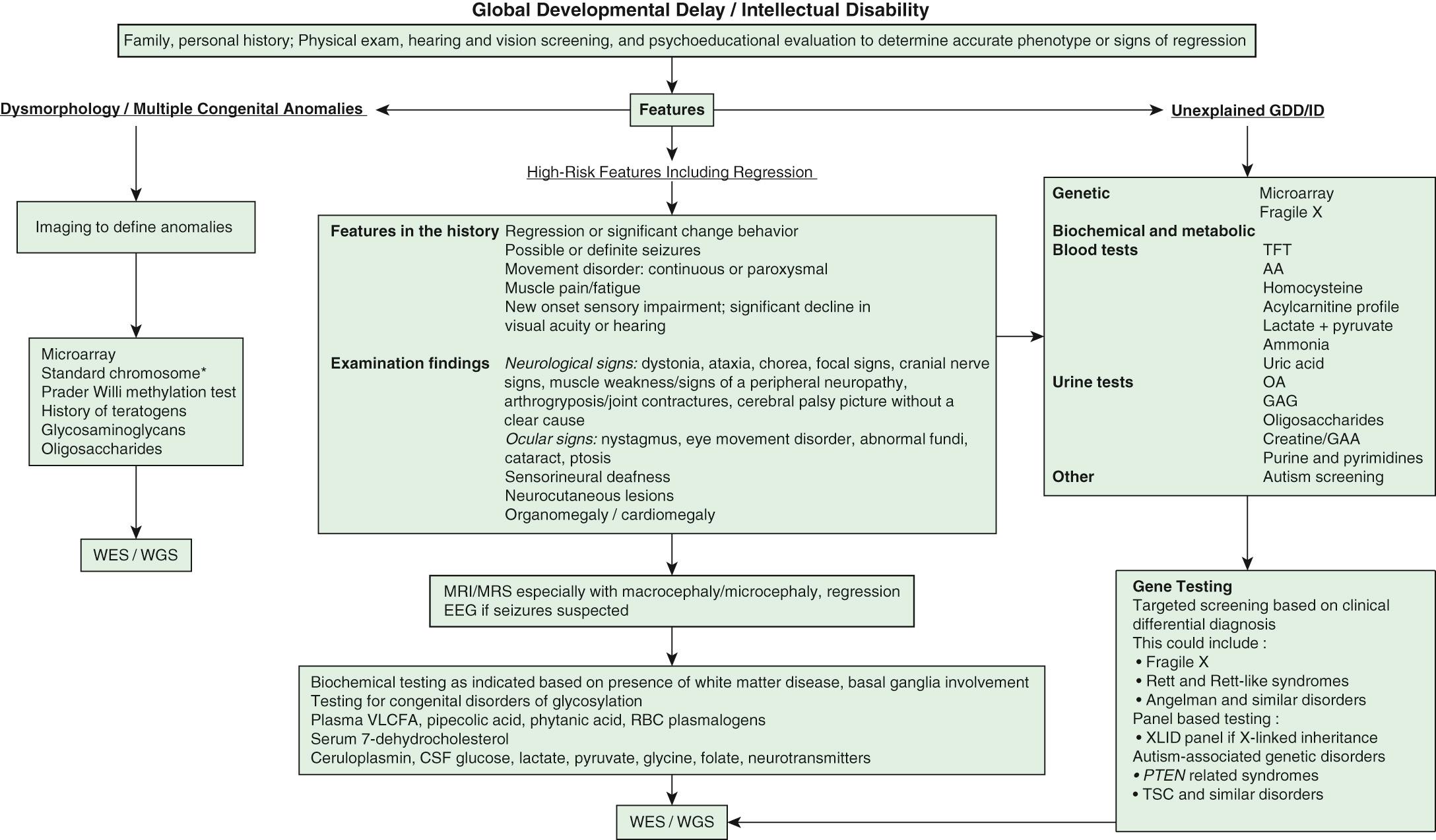 Developmental Delay and Intellectual Disability - Clinical Tree