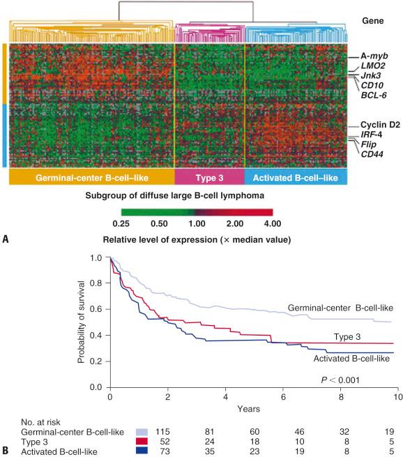 Diffuse Aggressive B-Cell Lymphomas - Clinical Tree