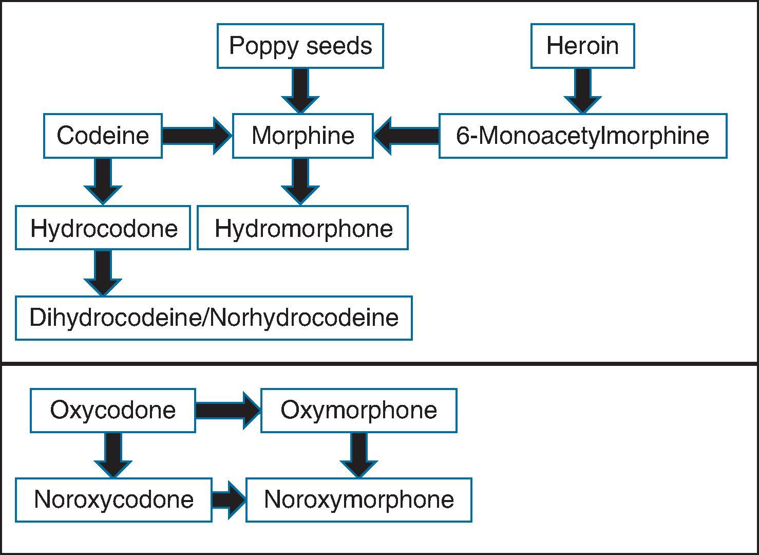 Drug Testing, Forensic Addictions, and Ethics - Clinical Tree