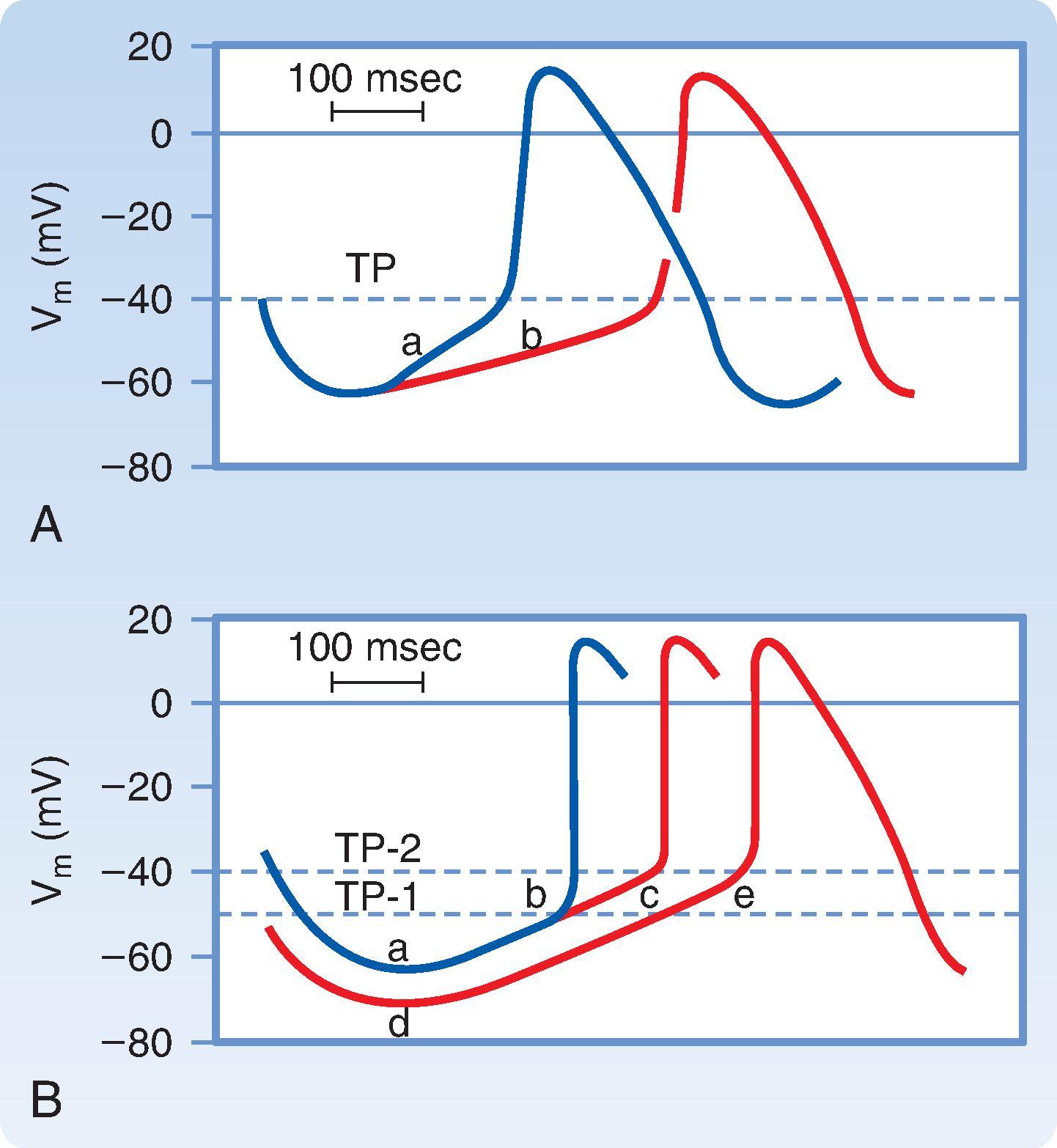 Elements of Cardiac Function - Clinical Tree