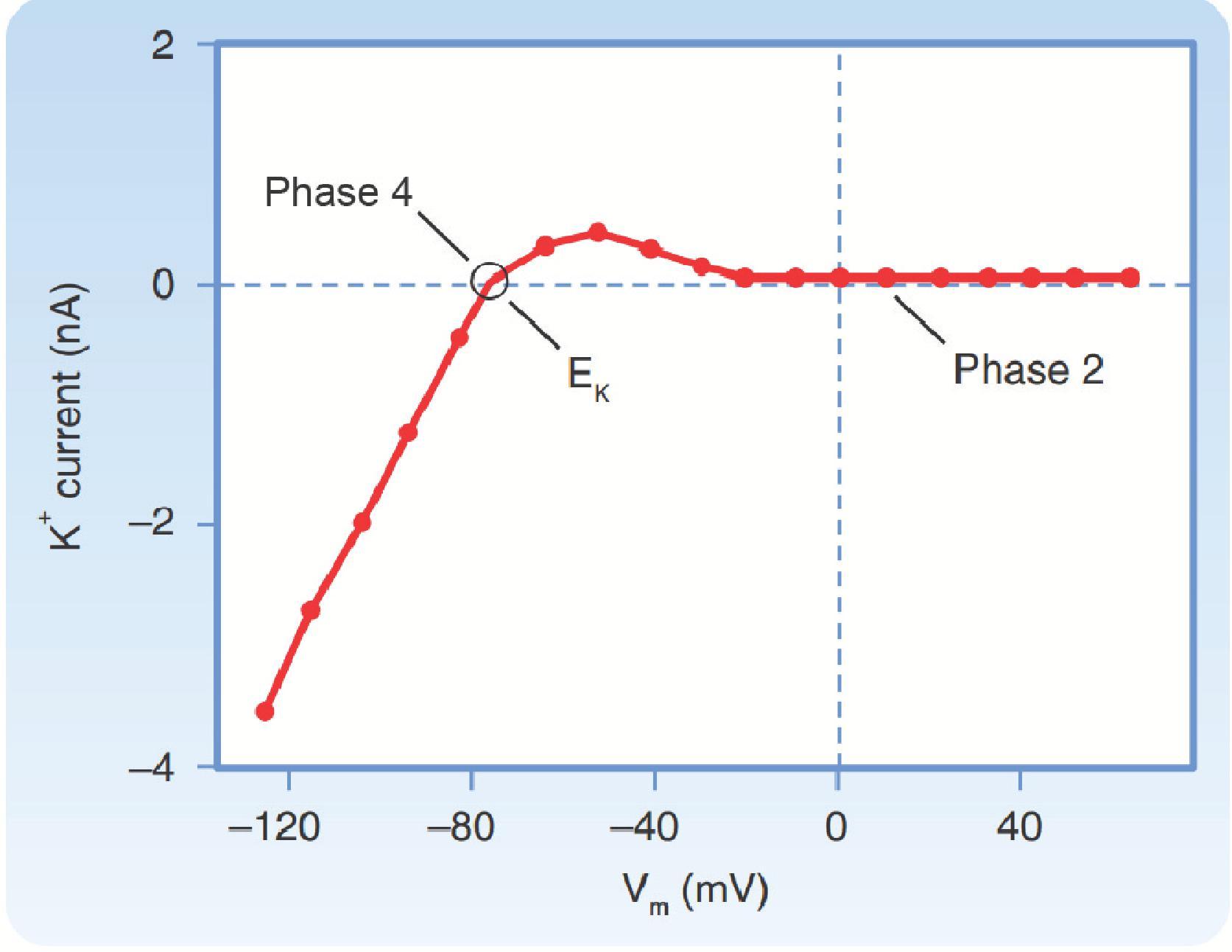 Elements of Cardiac Function - Clinical Tree