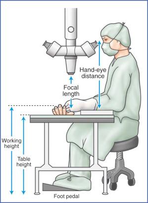 Emergency Microsurgery of the Upper Extremity - Clinical Tree