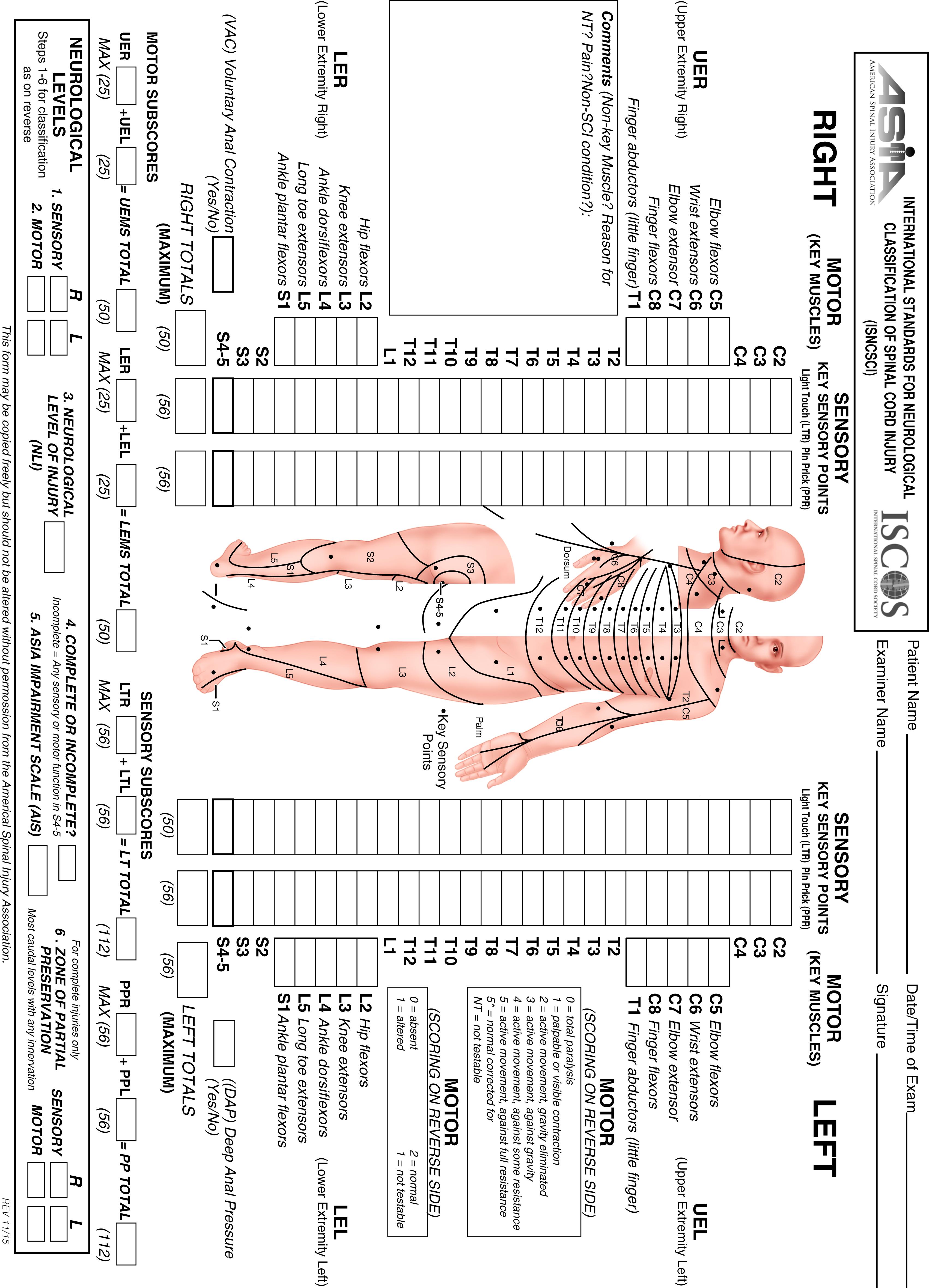 Fractures, Dislocations, and Fracture-Dislocations of the Spine ...