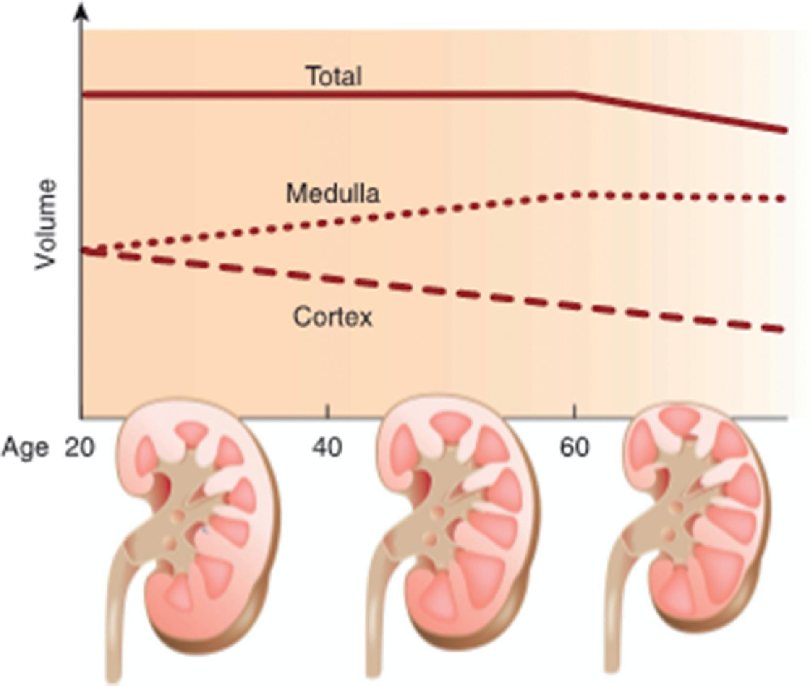 GERIATRICS - Clinical Tree