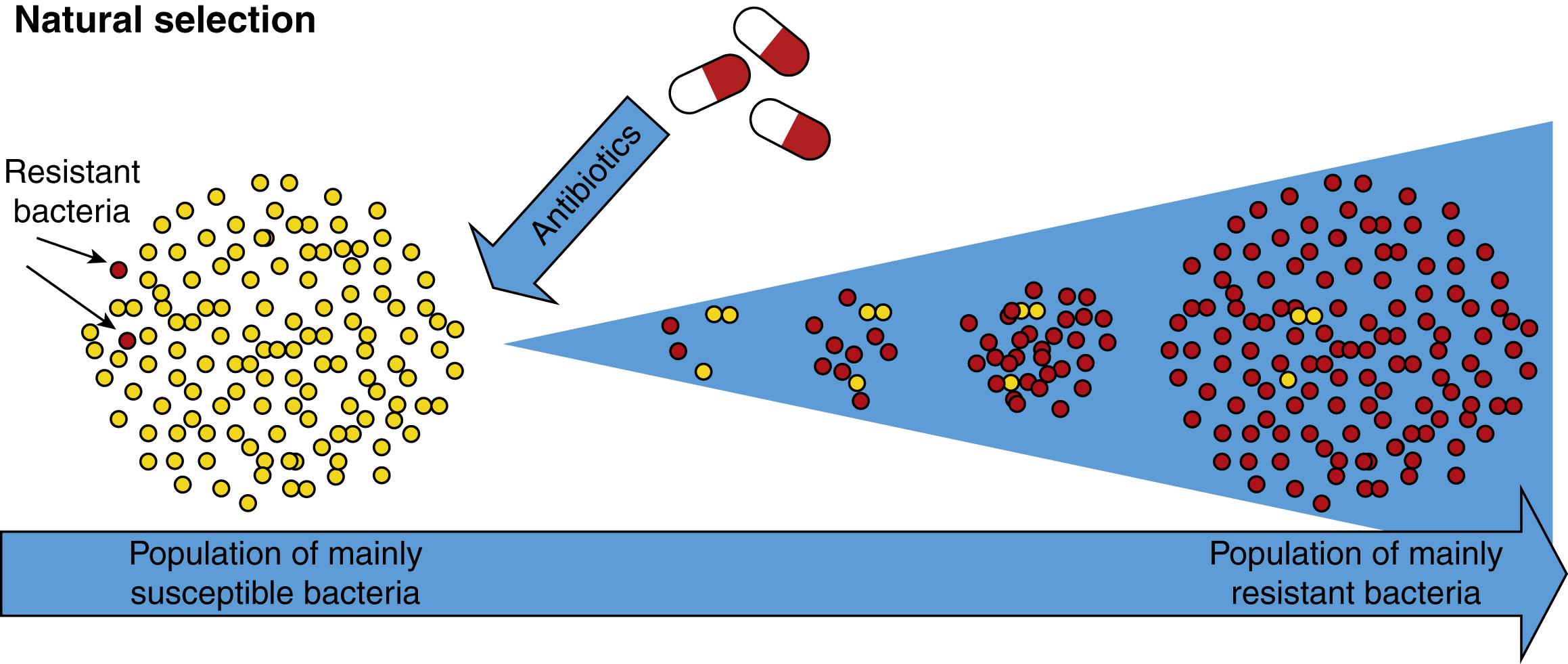 General Principles of Antimicrobial Therapy - Clinical Tree