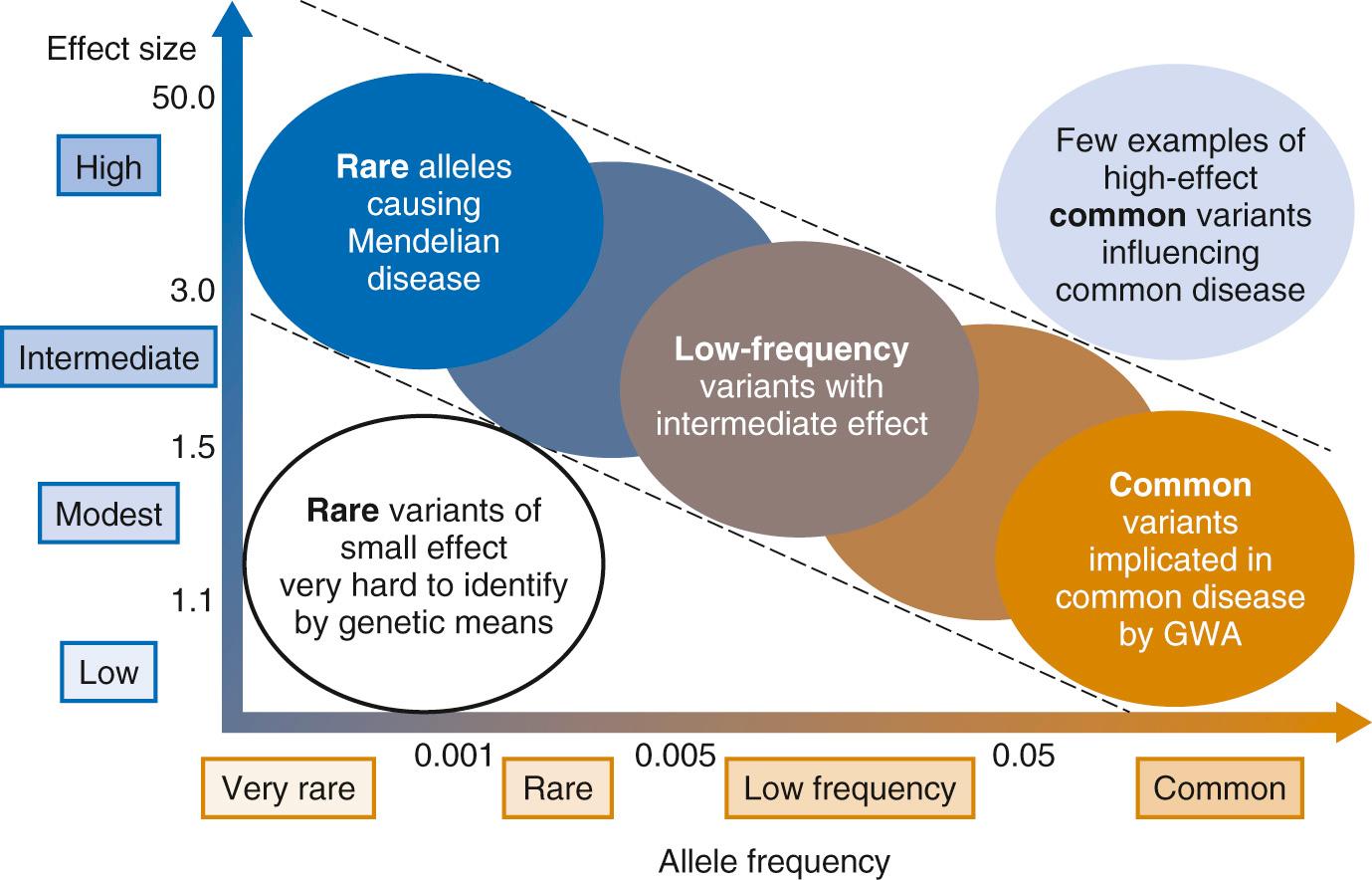 Genetics of Common Disorders - Clinical Tree