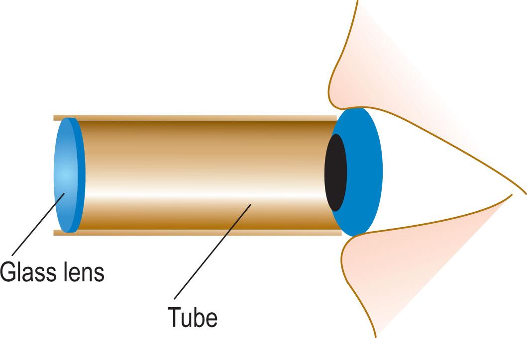 History - Clinical Tree