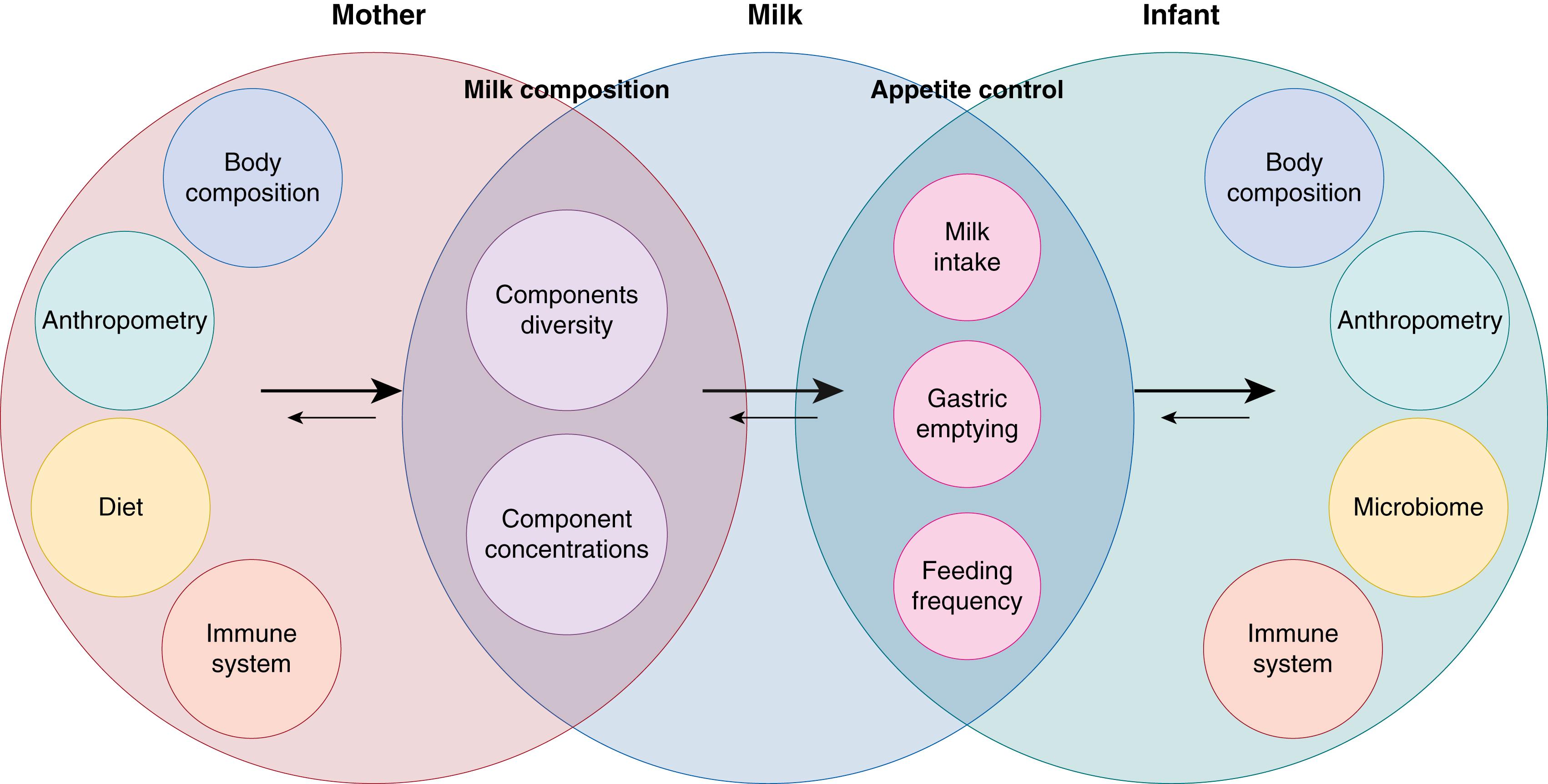 Human Milk Composition and Function in the Infant - Clinical Tree