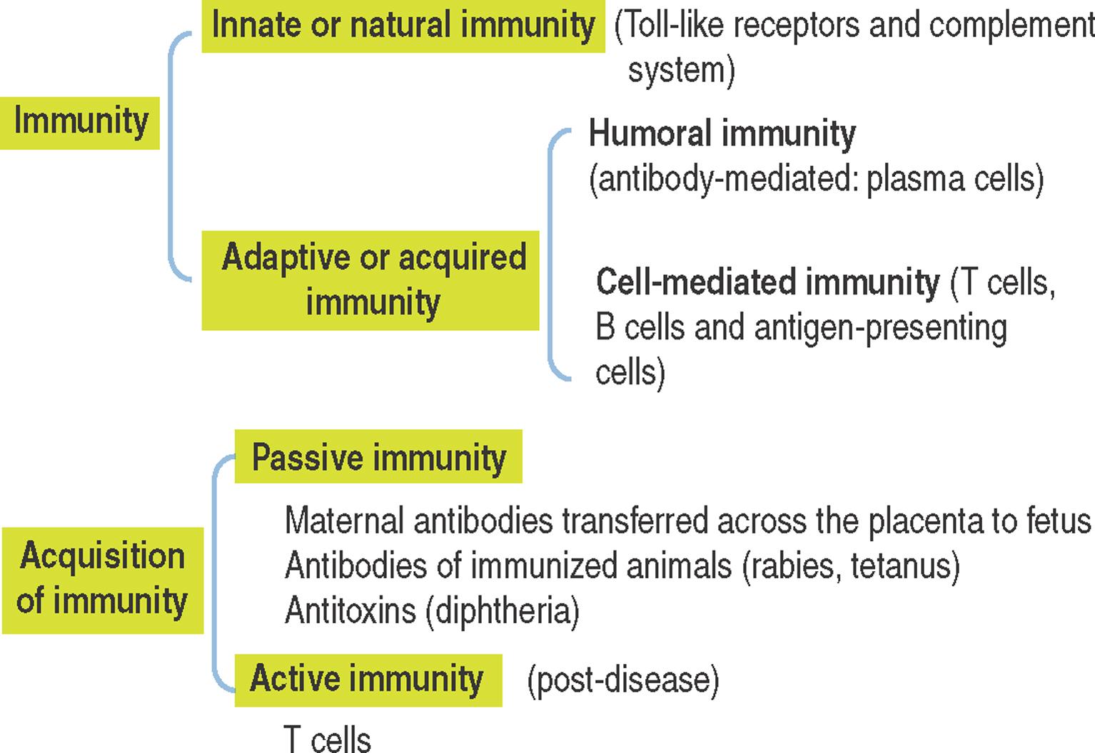 IMMUNE-LYMPHATIC SYSTEM - Clinical Tree