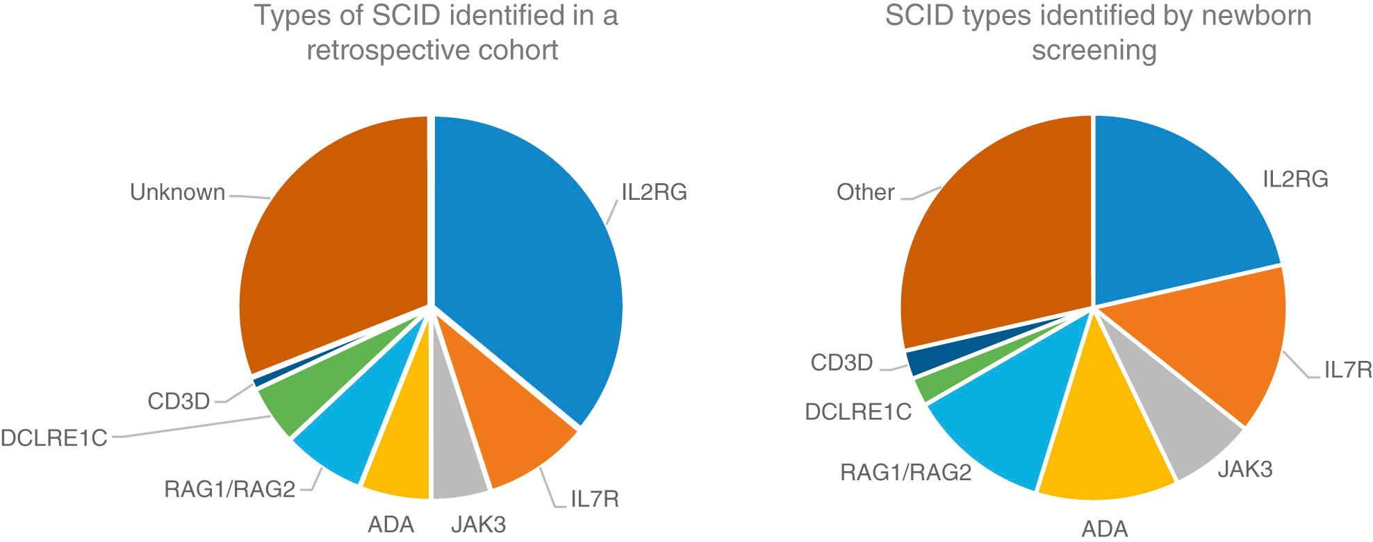 Immunodeficiencies Affecting Multiple Cell Types - Clinical Tree