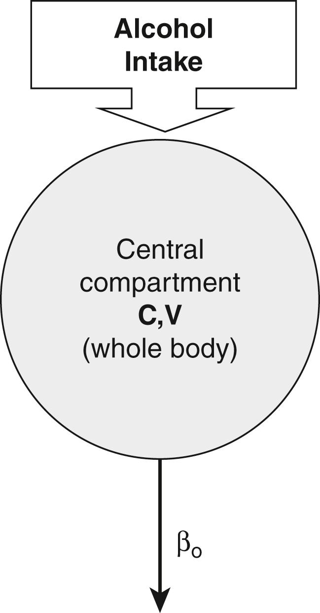 In Silico Models of Alcohol Kinetics: A Deterministic Approach ...