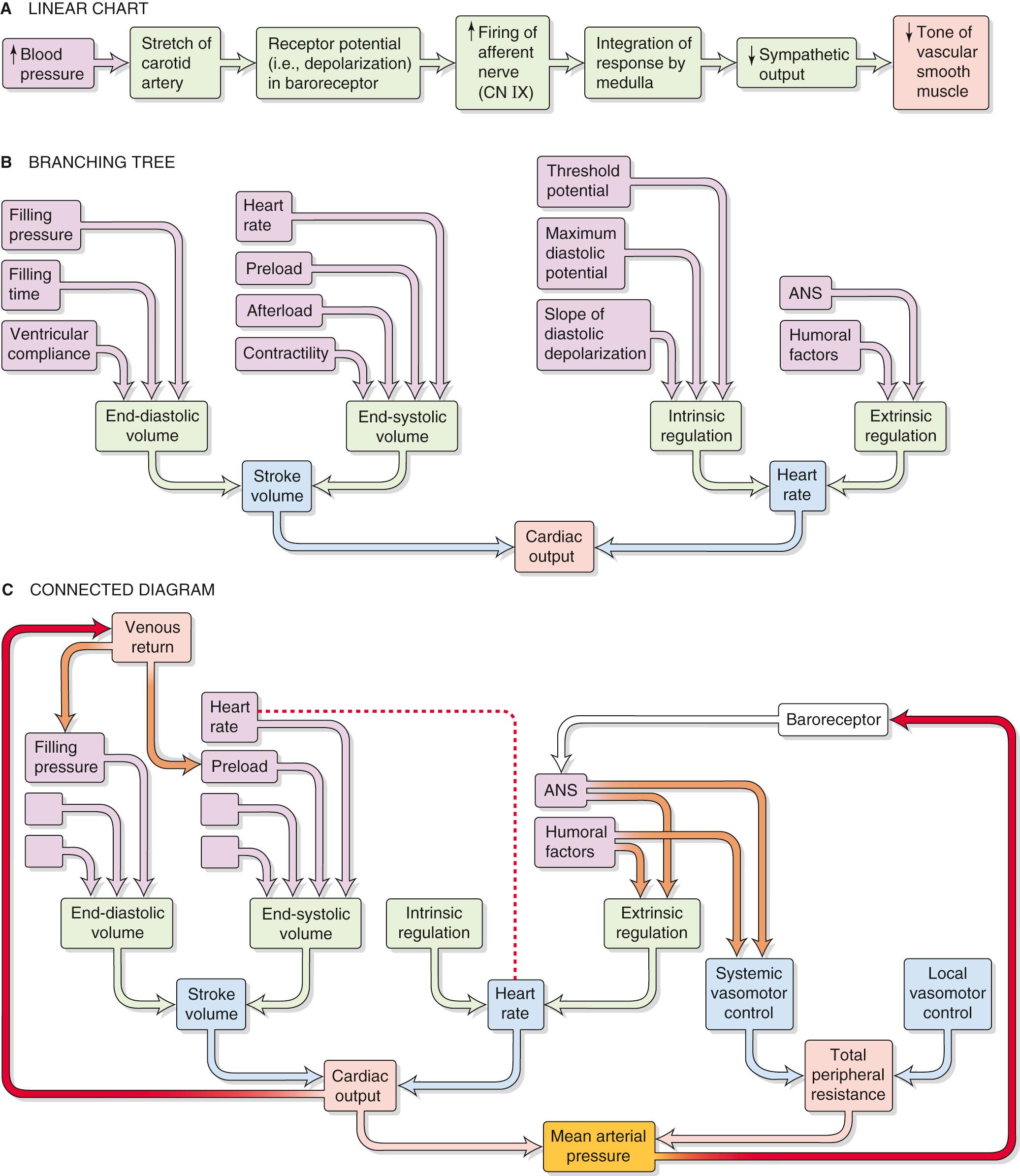 Integrated Control of the Cardiovascular System - Clinical Tree