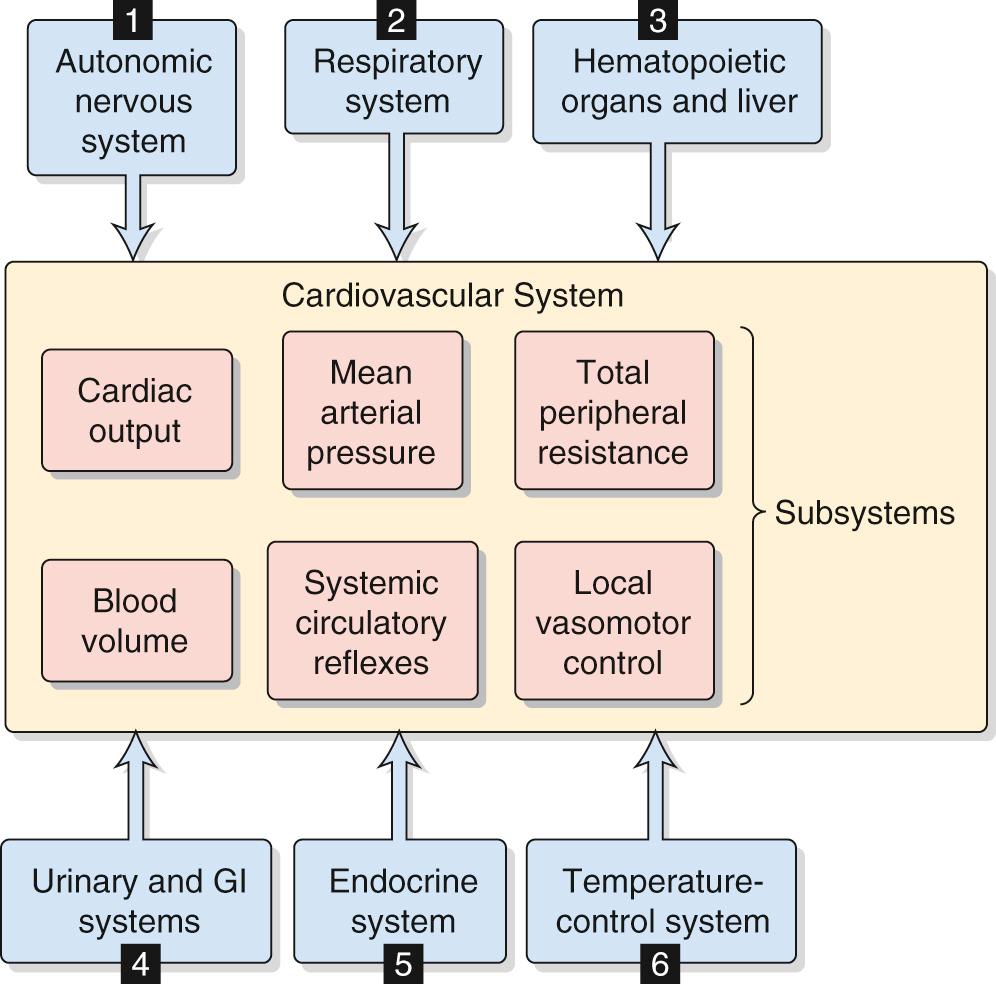 Integrated Control of the Cardiovascular System - Clinical Tree