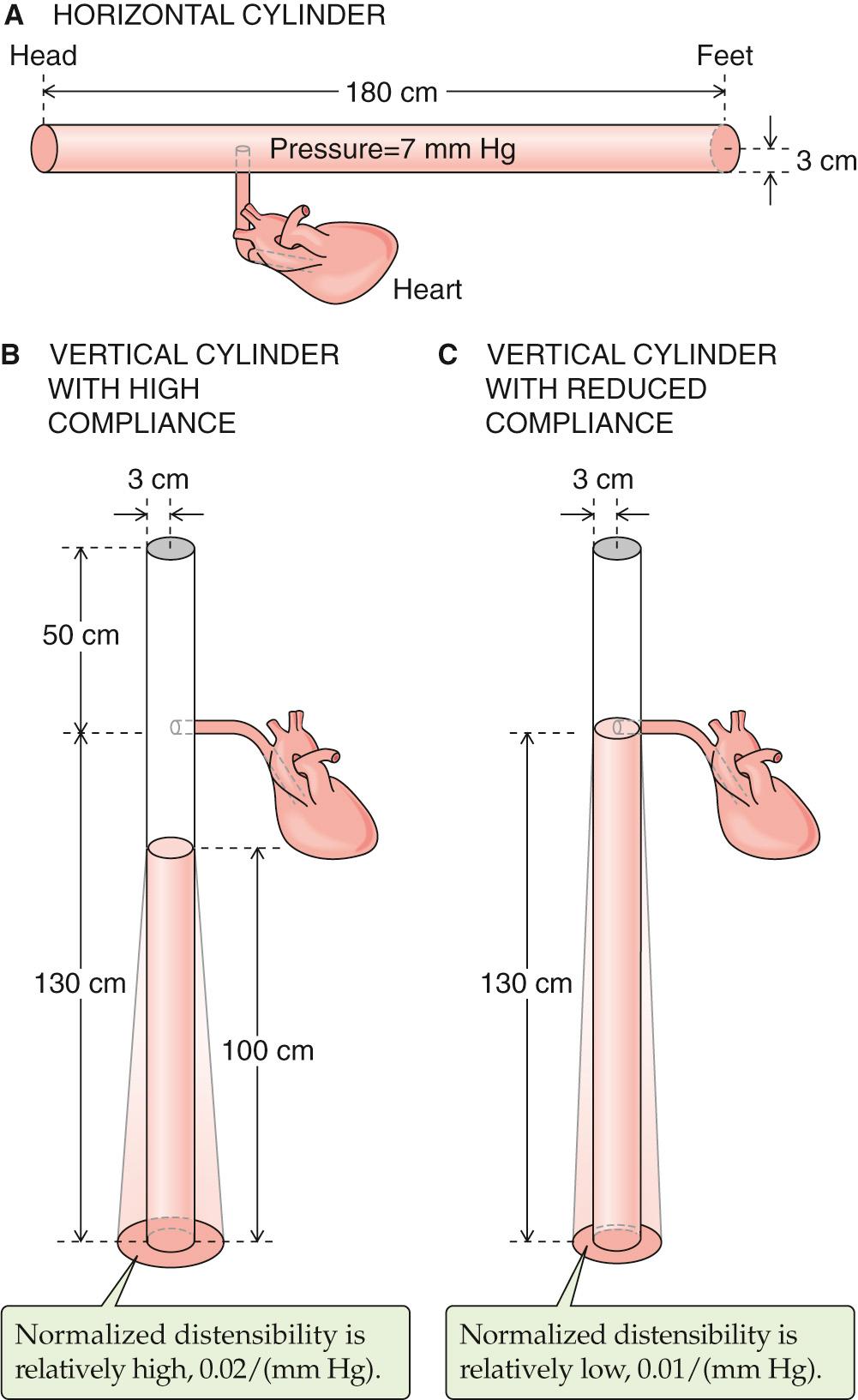 Integrated Control of the Cardiovascular System - Clinical Tree