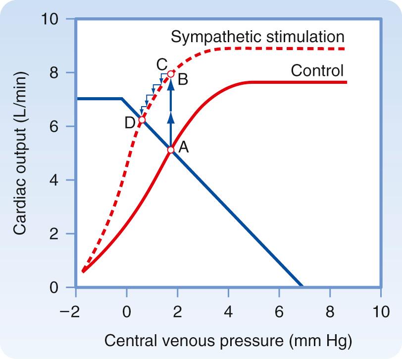 Integrated Control of the Cardiovascular System - Clinical Tree