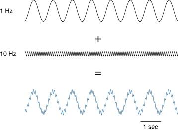 Introduction to Commonly Used Terms in Electroencephalography ...
