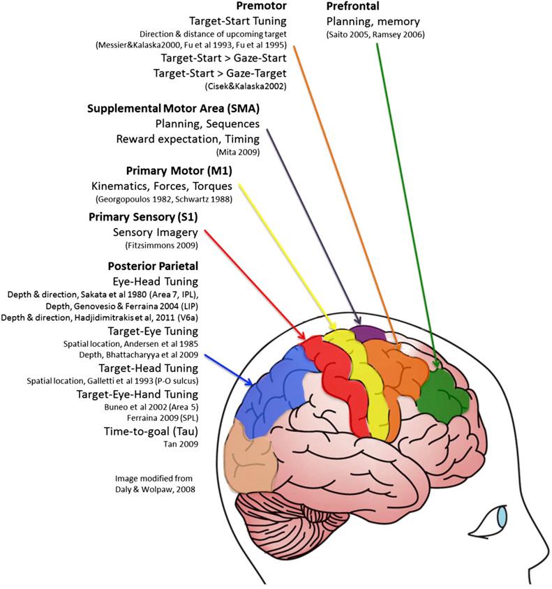 Invasive Brain–Computer Interfaces for Functional Restoration ...