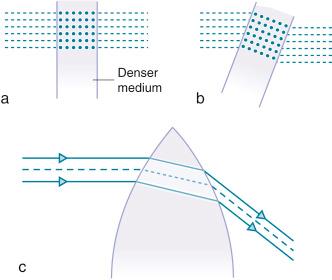 Light microscopy - Clinical Tree