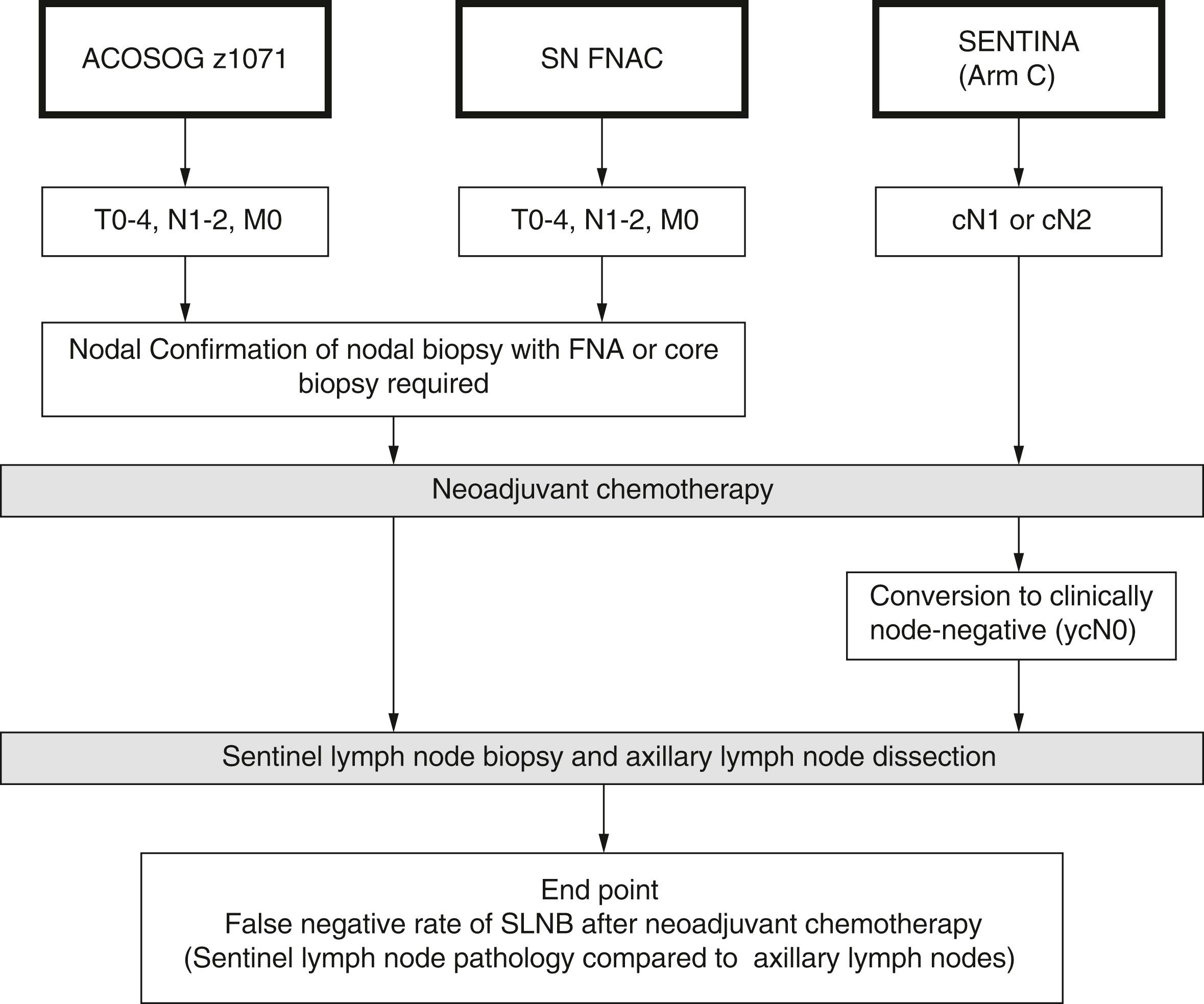 Lymphatic Mapping and Targeted Axillary Dissection Procedure After ...