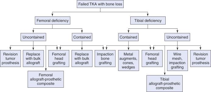 Management of Bone Defects Using Bone Graft - Clinical Tree