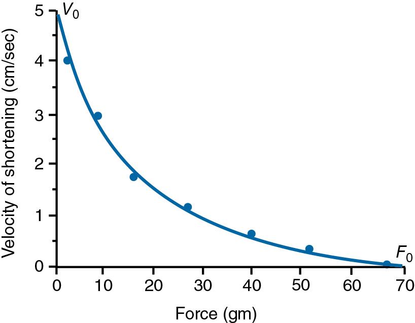 Mechanics of muscle contraction - Clinical Tree